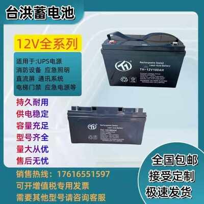 台洪蓄电池TH-12V100AH/12V100AH65AH40AH24AH17AH120AH20消防UPS