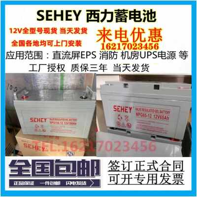 SEHEY西力蓄电池NPG100-12/12V5a7a17a24a38a40a65a100a120a150ah