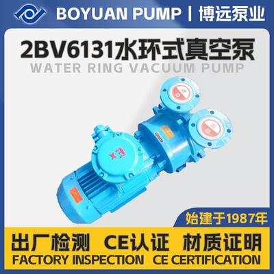 2BV6131防爆水环真空泵6.66m³/min化工矿山工业级隔爆型真空设备