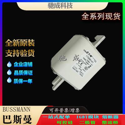 巴斯曼170M6140 170M6141 170M6142 现货直销价优 快速保险丝