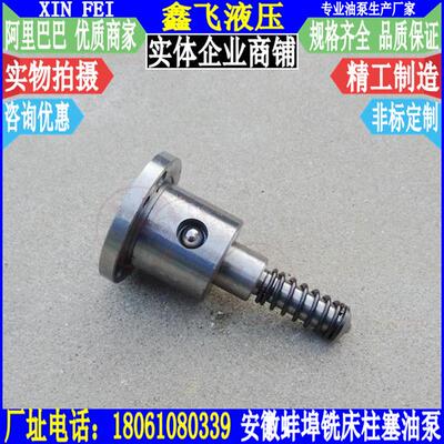 X53T柱塞泵 安徽蚌埠铣床柱塞油泵 润滑泵