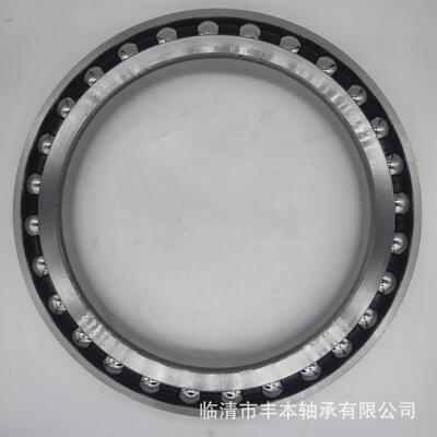 厂家供应 挖掘机行走轴承SF4852VPX1 工程机械轴承