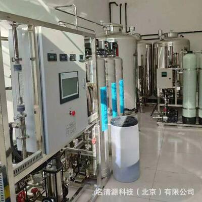 化妆品保健品2.5吨每小时RO双级反渗透纯水去离子EDI纯化水设备