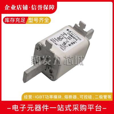 170M3814 3815 3816 3817 3818 3819 全新熔断器现货