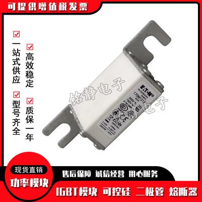 巴斯曼熔断器170M1313 170M1314 170M1315 170M1316 170M1317现货