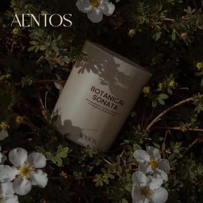 AENTOS香薰蜡烛200g大豆蜡家用室内香氛助眠小众礼盒安神生日礼物