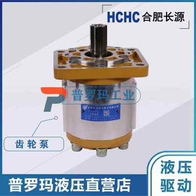 HC5HC合肥长源齿轮油泵CNP-F520-BF、52/563BFPL、VMZB550BFH、BF