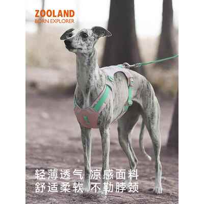 Zooland狗的胸部和背部牵引绳走年轻，中型和大型狗泰迪柯基比雄