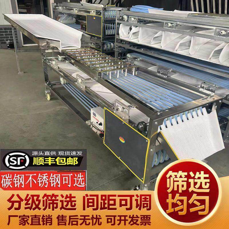 轨道式分选机圣女果李子百香果大小分级全自动选果机小水果分厂家