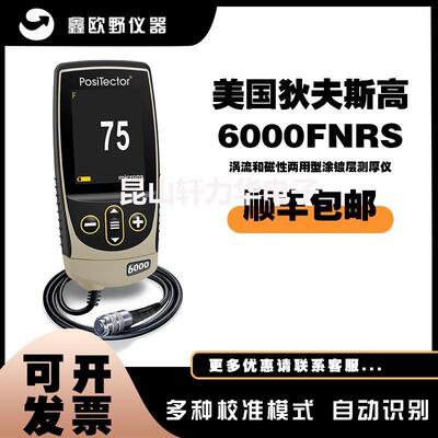 美国狄夫斯高DeFelsko PosiTector 6000NS3 涂层测厚仪 膜厚仪