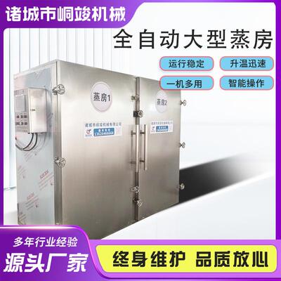 果脯蜜饯大型全自动蒸箱中药材黄精灭菌微压蒸房双门红薯蒸柜