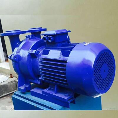 气体真空泵 2BV5111 水环真空泵 直联式水环真空泵