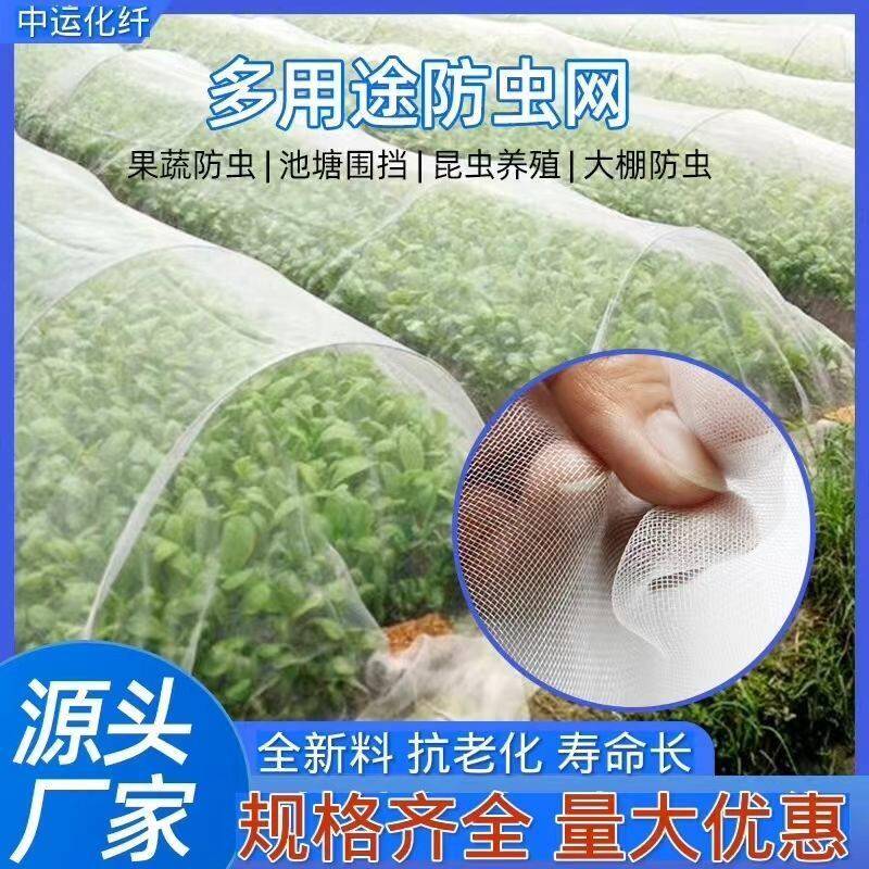 防虫网大棚种菜农用防虫网果树防鸟网场猪场防蚊苍蝇网加密加厚网