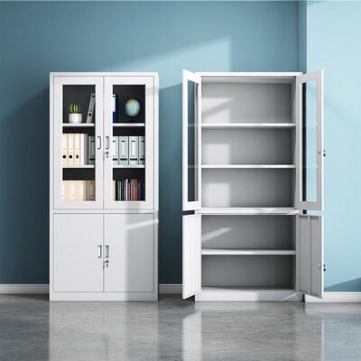 凭证柜文件柜锁财务档案柜办收公室资料WJG-01带会计纳储物柜柜铁