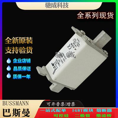 巴斯曼170M1535 170M1558 170M1559 现货直销零售 快熔保险丝