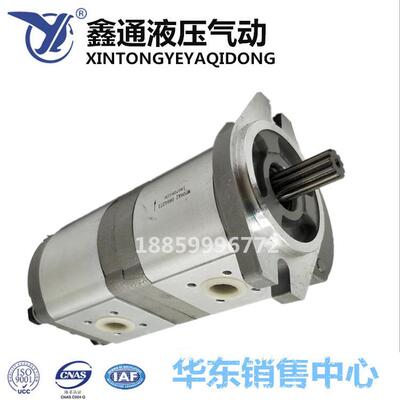 SUORUI齿轮油泵 WP09A2 0864273 双联泵