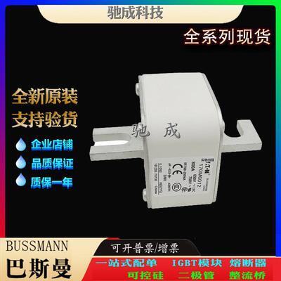 巴斯曼170M6011 170M6012 170M6013 大量现货销售 低压熔断器