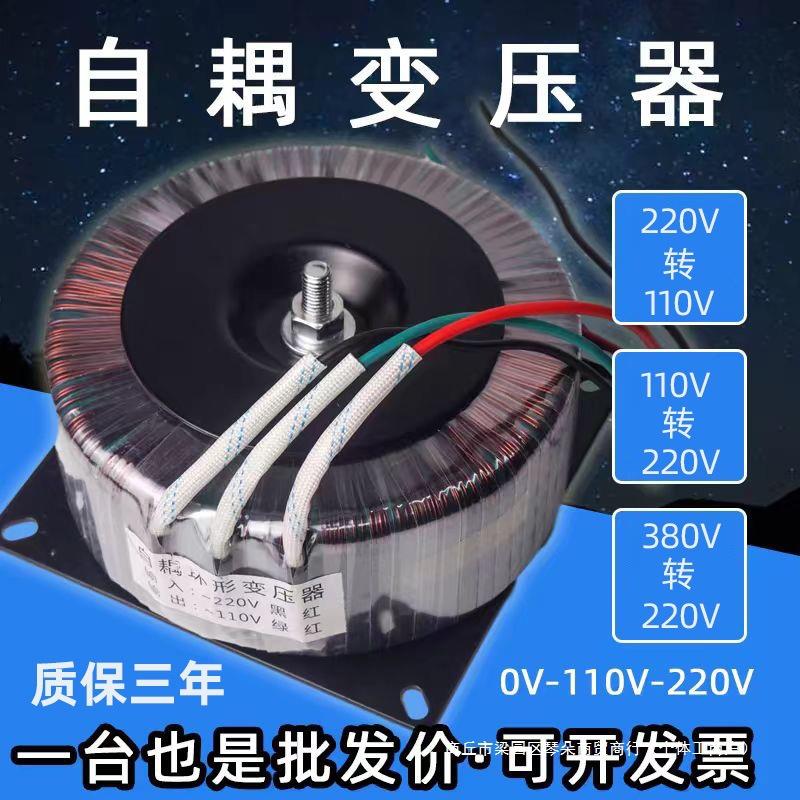 环形自耦纯铜变压器220v转110v变220变380v转220v200w300w500其他