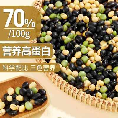 香酥黑豆500gx2罐】即食干炒豆子零食盐味熟炒货类小吃