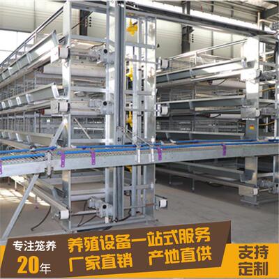 新型捡蛋机荥阳宏伟厂家供应自动化拾蛋设备可自动过滤破损鸡蛋