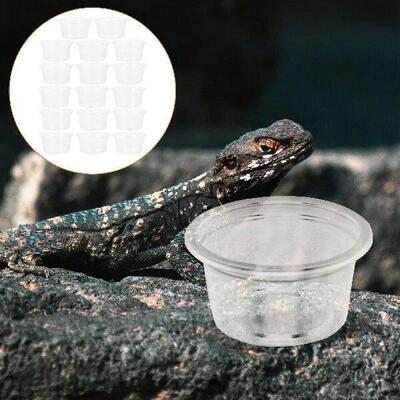 20 Pcs Crested Reptile Water Box Animal Feeder Cups