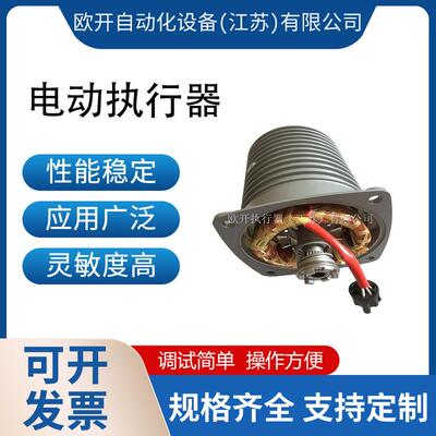 欧玛控制单元AM02.1，24V 电动执行器 供应