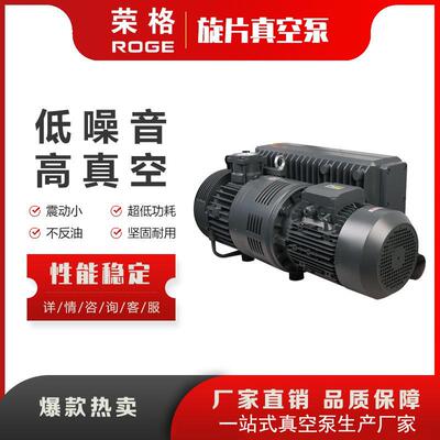 荣格单级旋片真空泵XD0305实验室负压泵工业大流量气泵抽真空机
