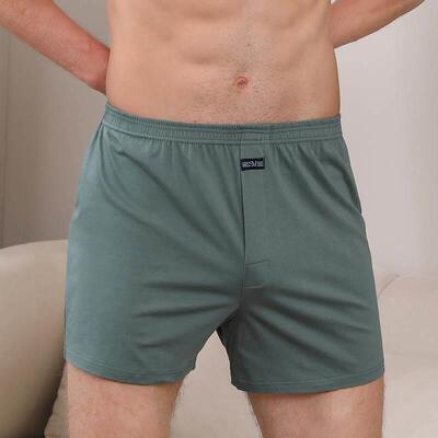 4X Mens boxer briefs loose men boxers underpants under