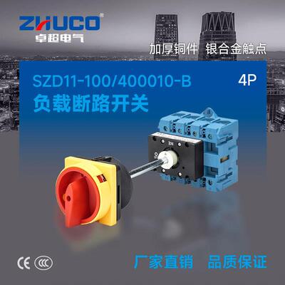 SZD11-100/400010-B 三相四线带长杆 门互锁开门断电底座安装