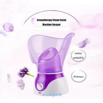 facial steam steamer hot spray steaming face instrumen蒸脸器