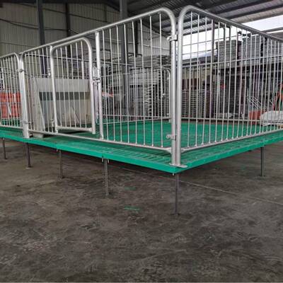 厂DPM家现货猪保育床小全复合加厚保育床热镀猪锌板产床母猪保育
