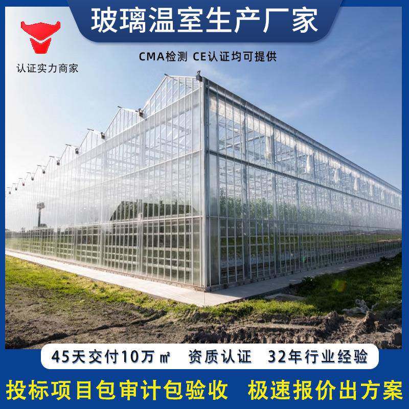 农业育苗大棚骨架瓜果蔬菜种植大棚农业观光连栋智能玻璃温室大棚
