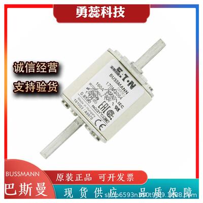 保险丝熔断器 170M3062 170M3063 170M3064