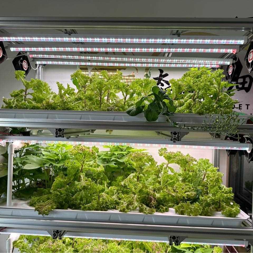 无土栽培种植架多层家用阳台种菜架温室大棚种植设备园艺支架