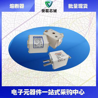 A110UD73TTI1000K301056A100UD73TTI1100法国Ferraz罗兰熔断器