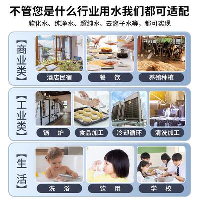 直RO反渗透纯水设1吨纯DH-2000R水机大型工备设业去离子水处理设
