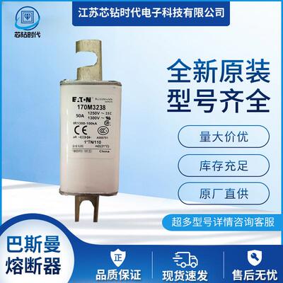 170M3247 170M3248 巴斯曼BUSSMANN熔断器保险丝