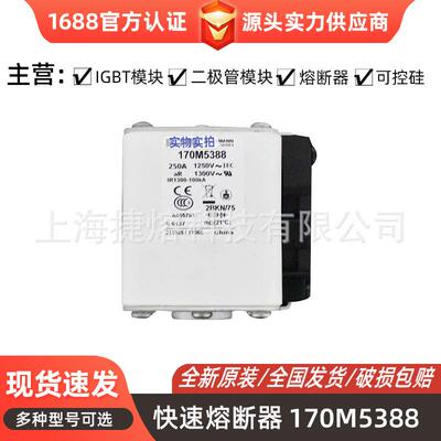 170M5388170M5398快速熔断器保险丝电子元器件量大价优