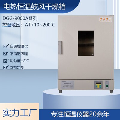 供应DGG-9140AD电热恒温鼓风干燥箱（可十段编程）