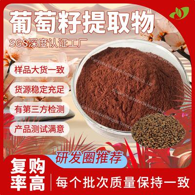 低聚原花青素opc现货原料粉末葡萄籽原花青素95%葡萄籽提取物