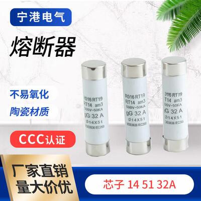 宁港现货供应陶瓷材质保险丝管熔断器14/32/51A熔芯熔断器