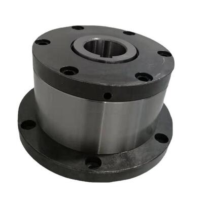 滚柱式RINGSPANN超越离合器国产GFR55R A2A7减速机R308TS-18IIIR