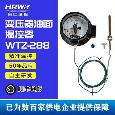 WTZ-288电接点压力式温度计指针压力式温度计桓仁温度测控仪表厂