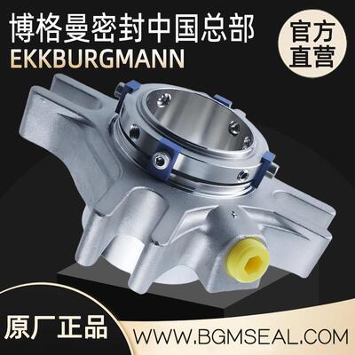US2-ANGA波兰机械密封机封轴封符合DIN24960/EN12756德国博格曼标
