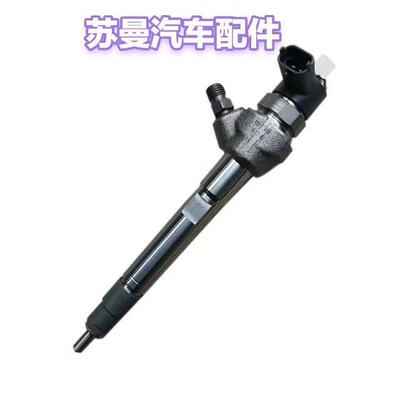 厂家直供 质量保证 共轨喷油器 0445 110 677 喷油嘴 量大从优