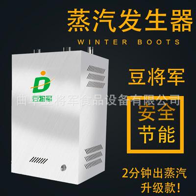 设厂家供应蒸ZTW汽锅炉蒸气自动燃环保容成套备高汽器效