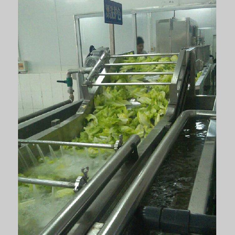 蔬菜根茎类清洗机 菜PTO净产线 类菜加工流水线预制生菜无损清洗