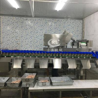 鲅鱼称重分选机连续式海鲜重量分级机大料盒鸡鸭鹅称重分级机