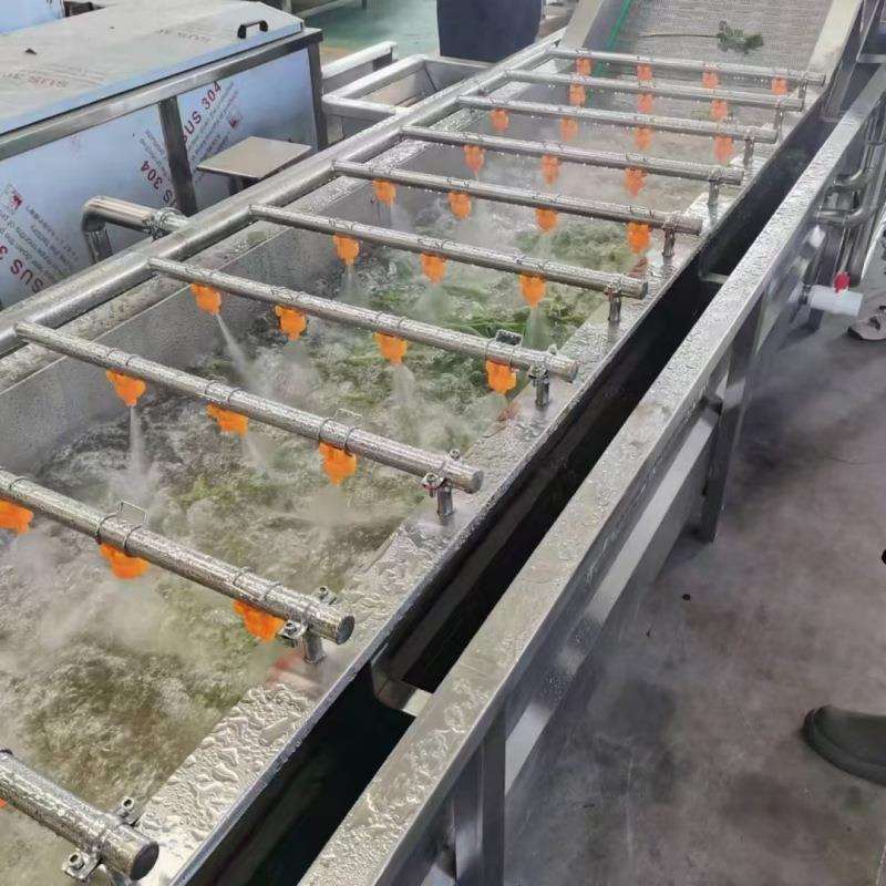 气泡清洗机洗果机水果清洗机酸菜生姜玉米蓝莓柑橘洗菜机商用