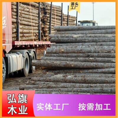 土建工程松木桩河道围堰打桩木圆木落叶松原木桩